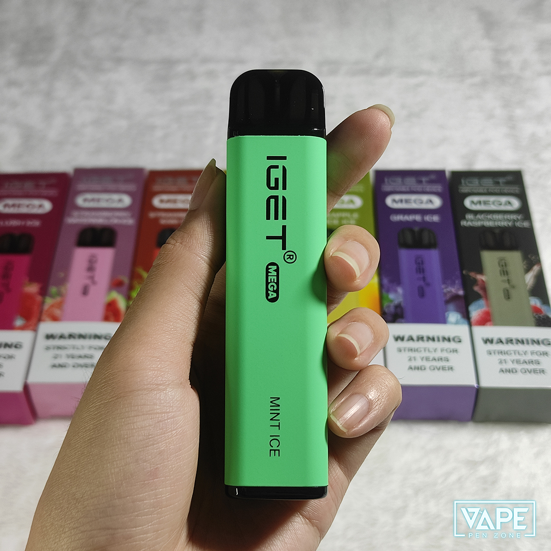 IGET Mega Review: The 2022 Best Vape | VPZ